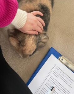 My experience of doing Interpretative Phenomenological Analysis (IPA ...